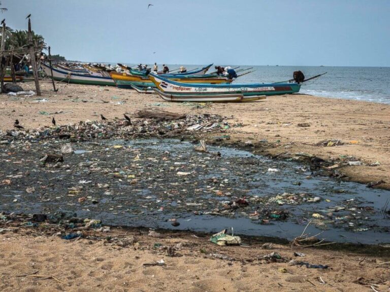 Contaminación en la India - The Free Nature