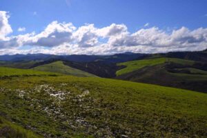 Pradera: ¿Qué es? - Características, tipos, flora, fauna - The Free Nature