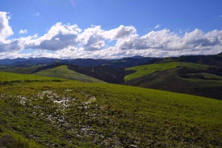 Pradera: ¿Qué es? - Características, tipos, flora, fauna - The Free Nature
