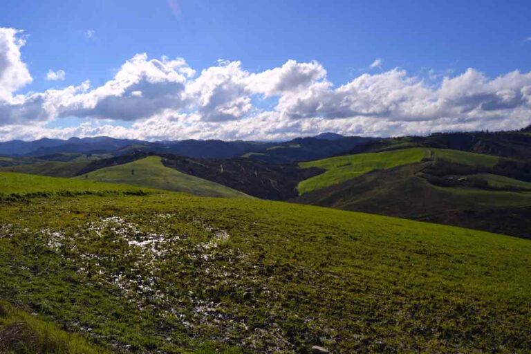 Pradera: ¿Qué es? - Características, tipos, flora, fauna - The Free Nature