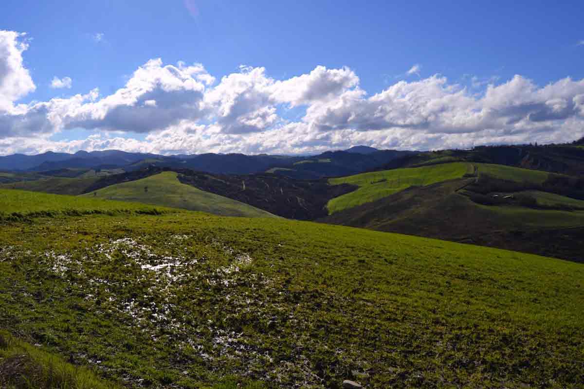 Pradera: ¿Qué es? - Características, tipos, flora, fauna - The Free Nature