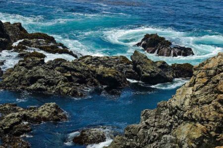 Zonas intermareales - Qué son, características - The Free Nature