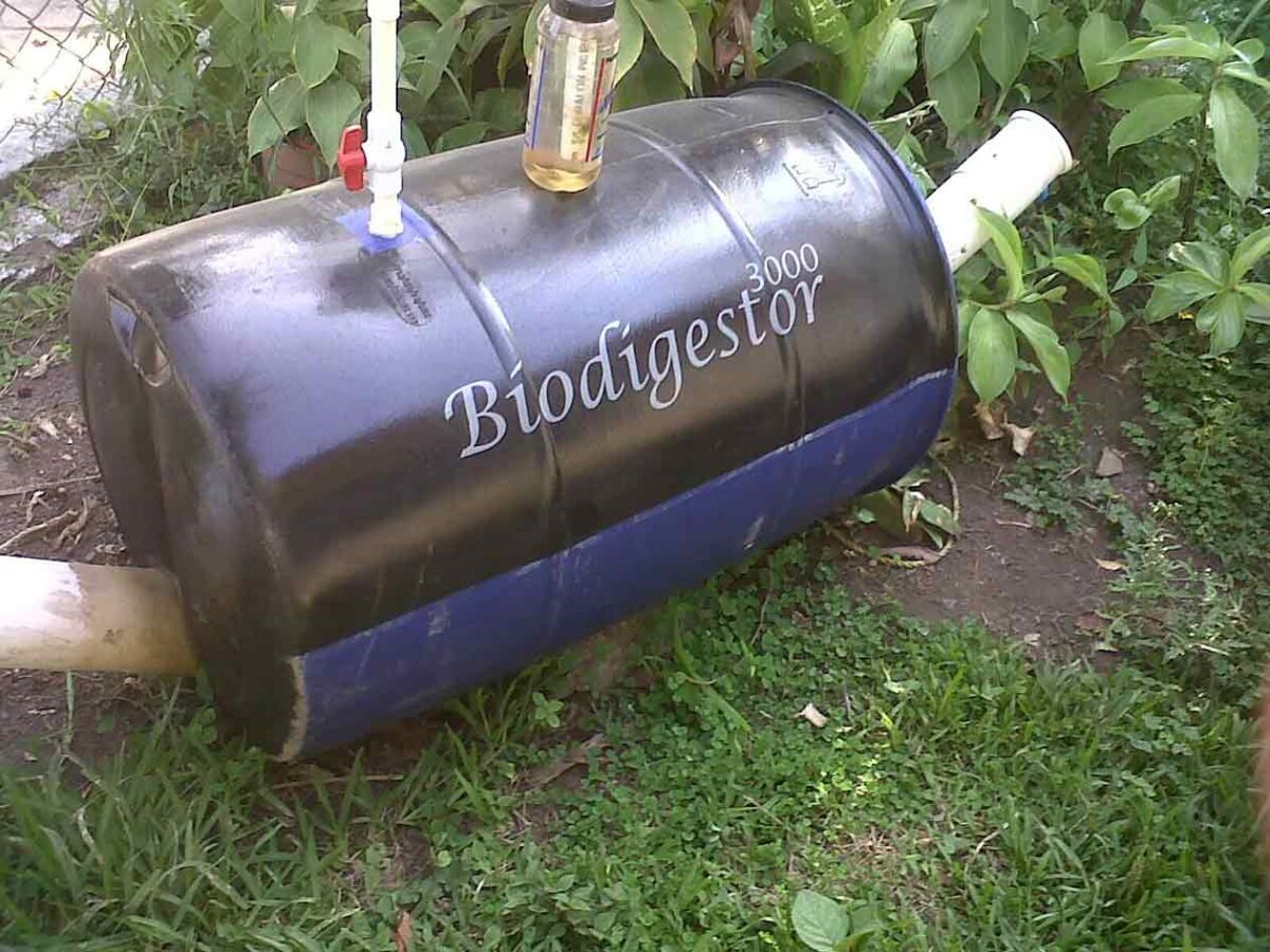 Biodigestor - Qué es, cómo funciona, beneficios - The Free Nature