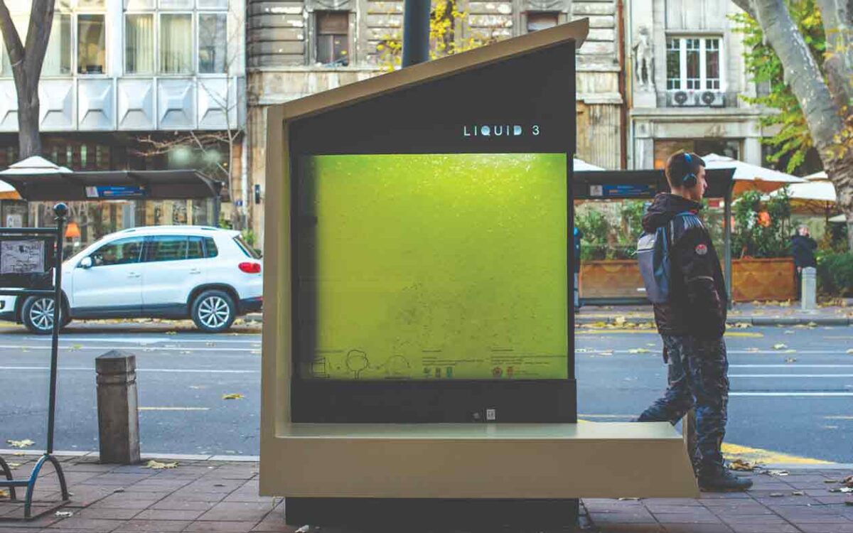 Liquid3: Árbol líquido - The Free Nature