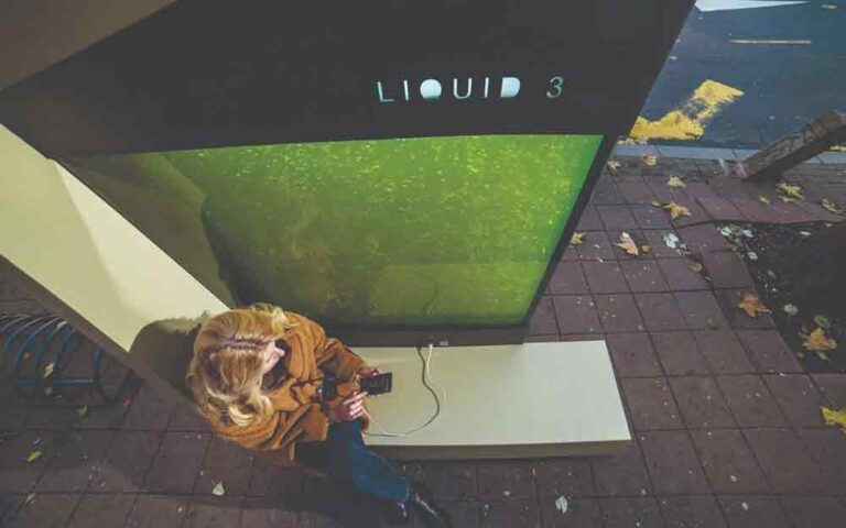 Liquid3: Árbol líquido - The Free Nature